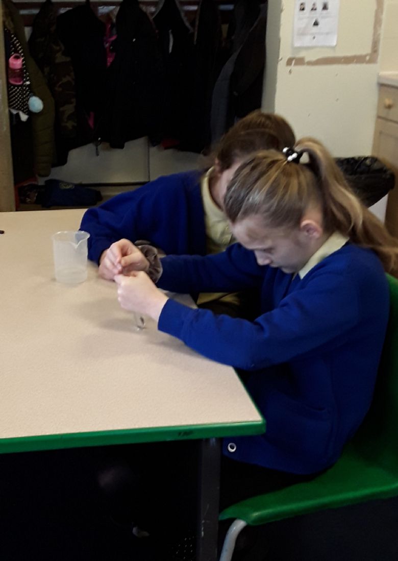 Earlsmead Primary School - Year 5